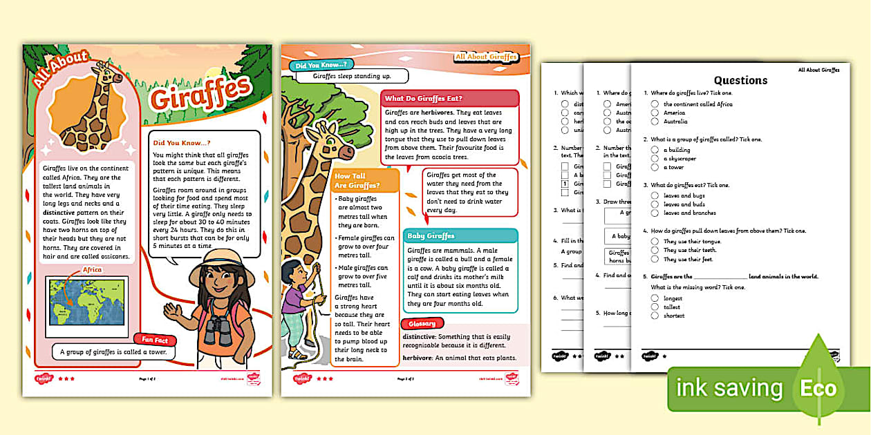 KS1 All About Giraffes Differentiated Reading Comprehension