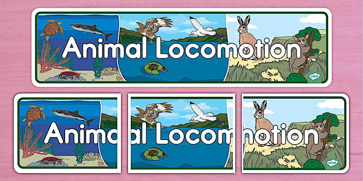 Animal Locomotion Display Banner