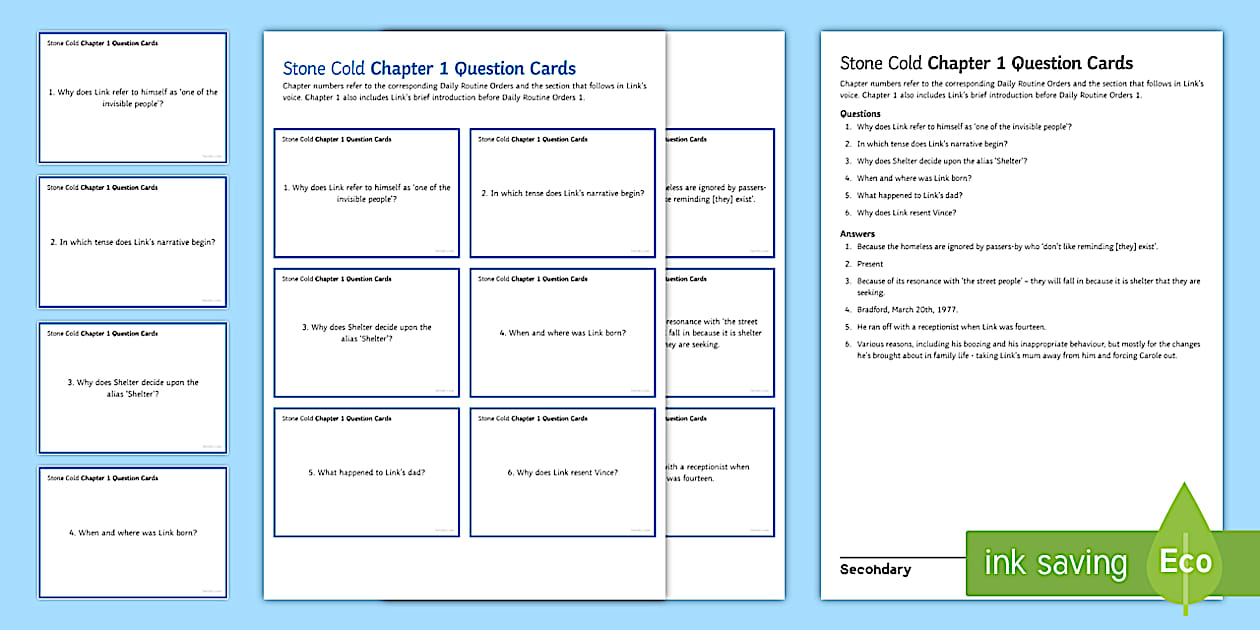 Chapter 1 Question Cards to Support Teaching on 'Stone Cold' by Robert