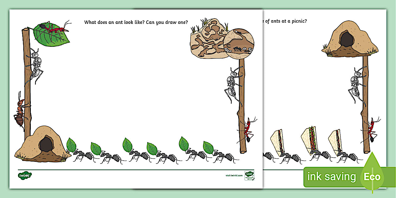 Ant Drawing Prompts | Twinkl | Minibeasts | Drawing and Art
