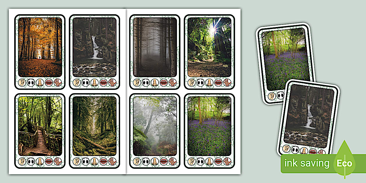 Woodland Story Setting Photo Prompt Cards (teacher made)