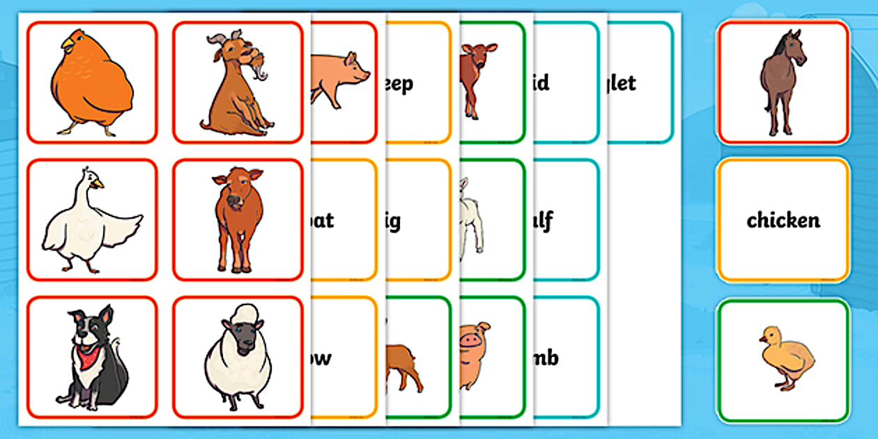 Farm Animal Matching Cards (teacher made) - Twinkl