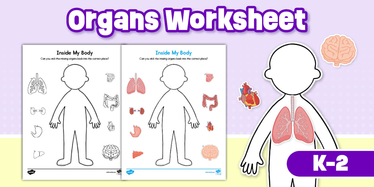 Inside My Body Organs Cut and Paste Worksheet