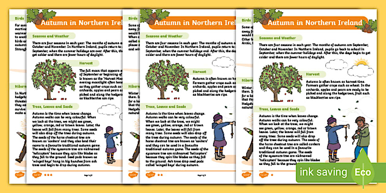 Autumn in Northern Ireland KS1 Differentiated Comprehension