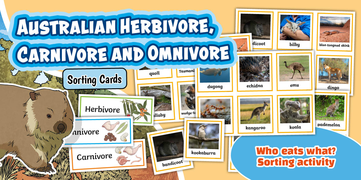 Australian Herbivore, Carnivore and Omnivore Sorting Cards