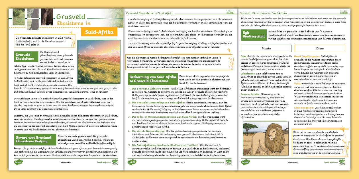 Grasveld Ekosisteme in Suid-Afrika Graad 6 NW Suid-Afrika