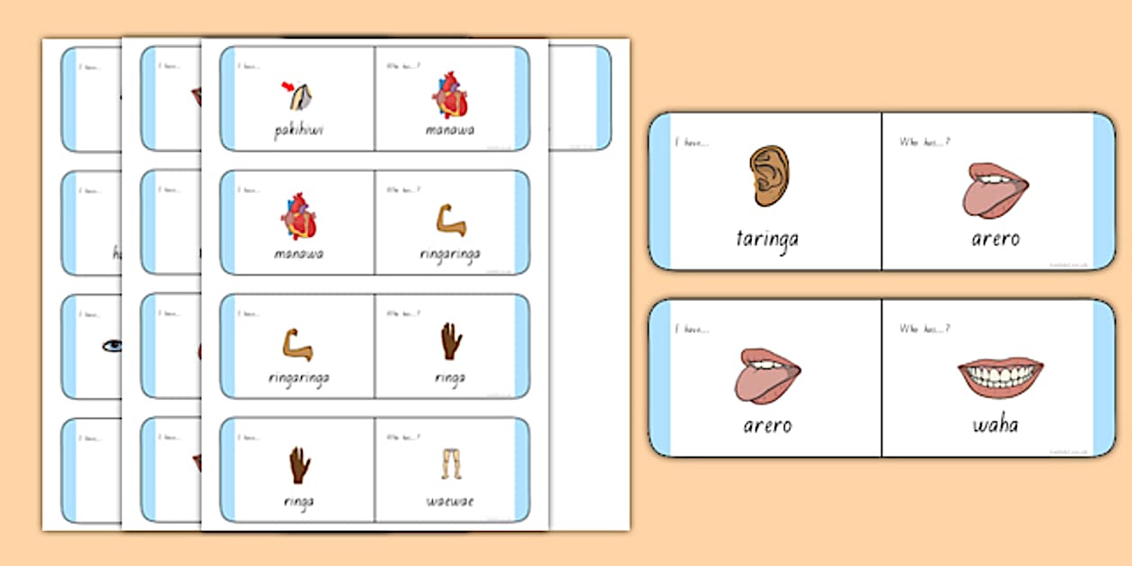 Parts of the Body Loop Cards Te Reo Māori - Twinkl
