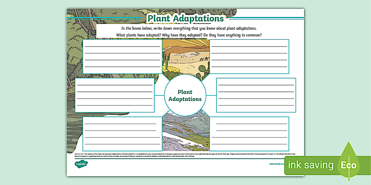 Plant Adaptations Mind Map (teacher made) - Twinkl