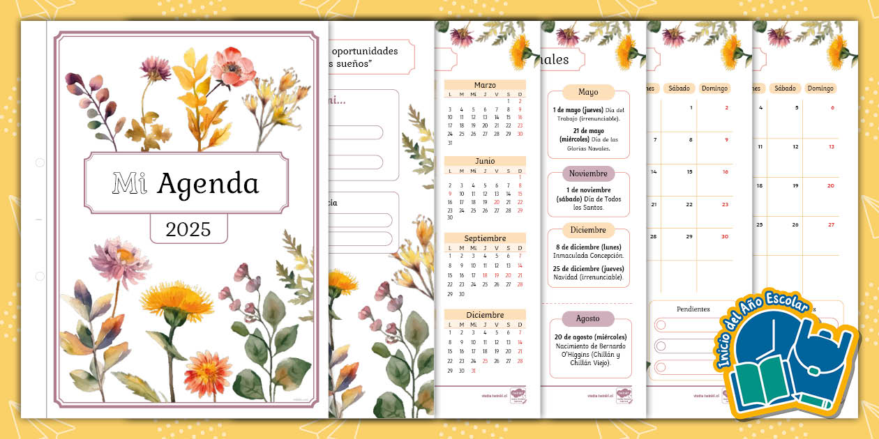 Agenda 2025 | Chile | Regreso al Colegio