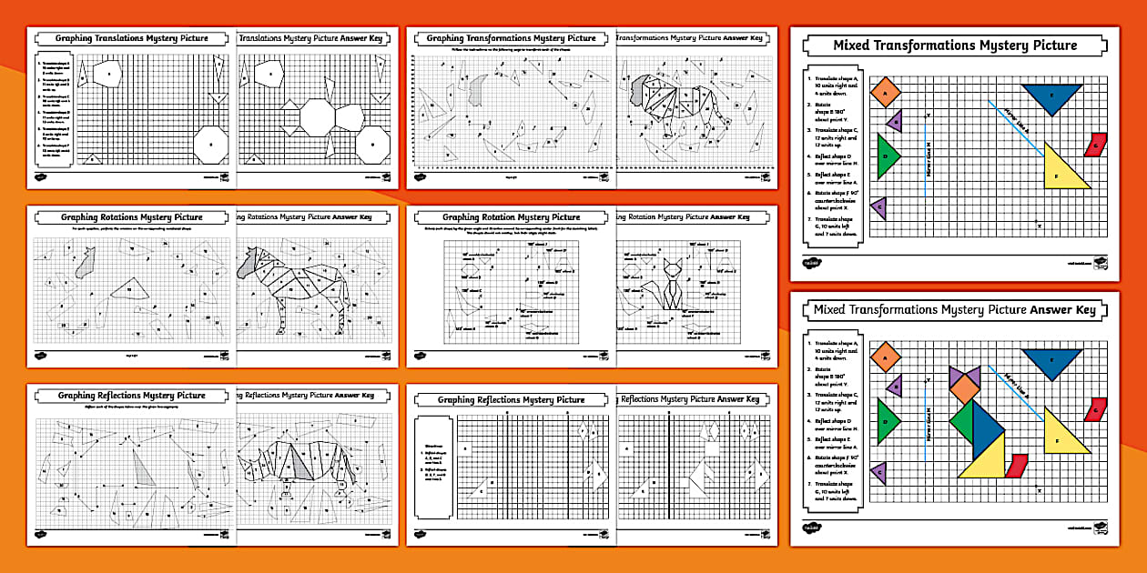 Eighth Grade Graphing Transformations Mystery Animal Picture Activity Pack