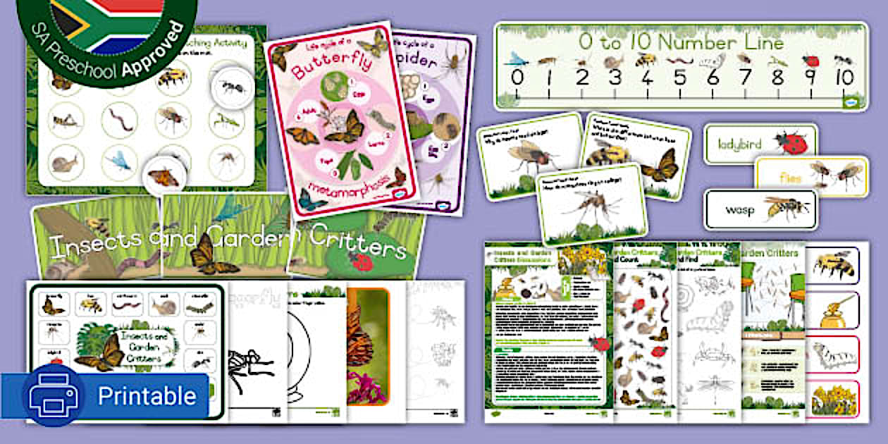 Insects Resource Pack | Preschool | Twink South Africa