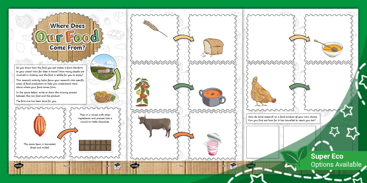 Where Does Our Food Come From? Worksheet (teacher made)