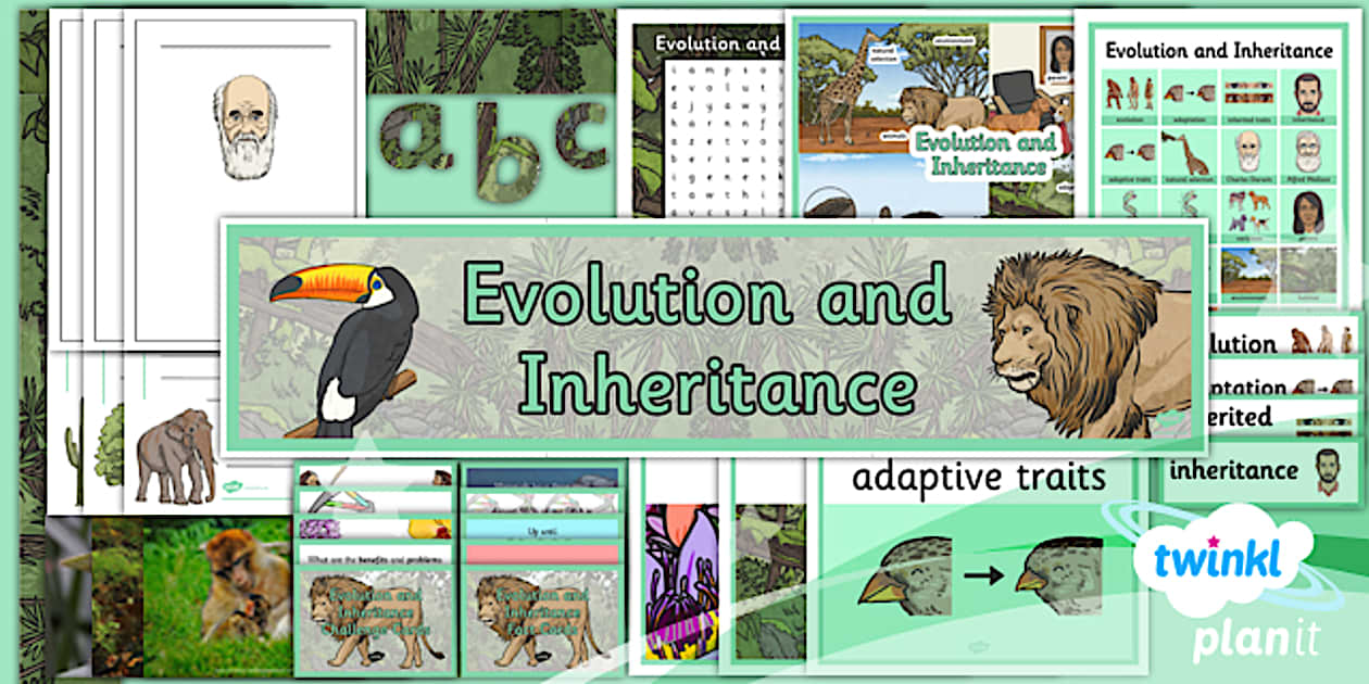 Science: Year 6 Evolution and Inheritance Display Pack