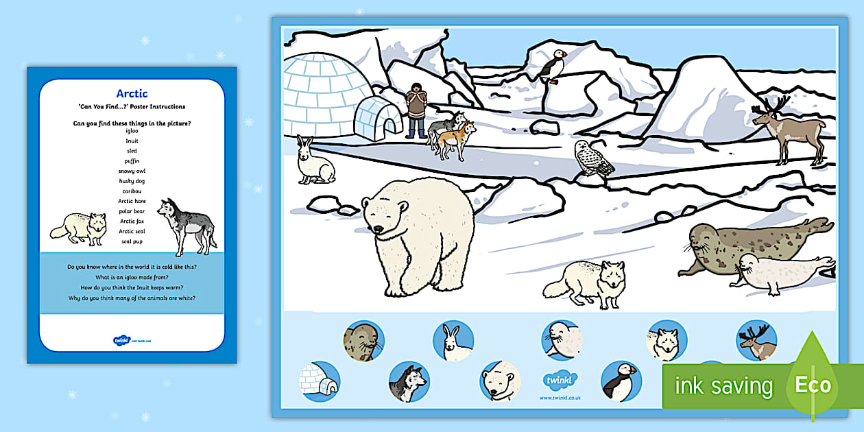 Arctic Can You Find Poster And Prompt Card Pack - Twinkl