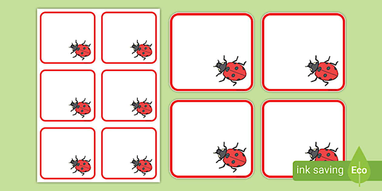 Editable Ladybird Themed Square Peg Labels (teacher made)