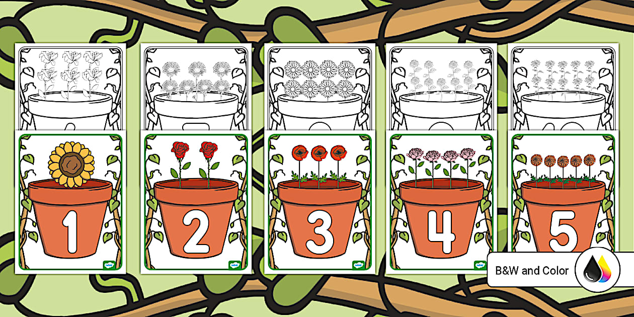Flower Pot Number Cards 0-10 (teacher made) - Twinkl