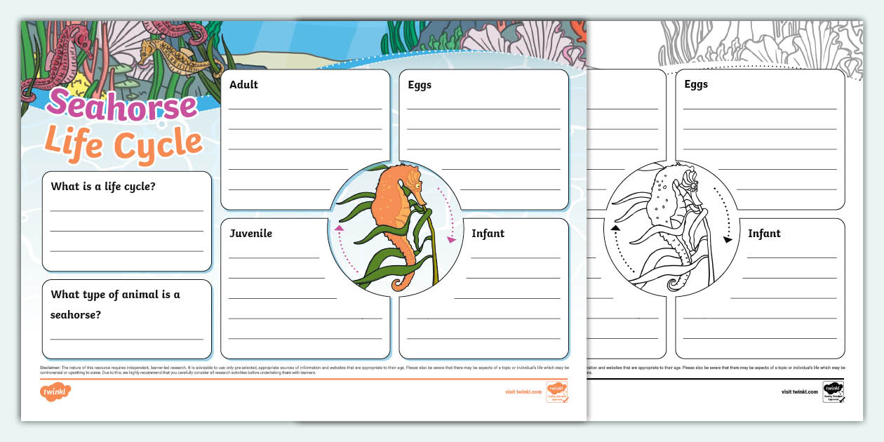 Seahorse Life Cycle Fact File Template - Twinkl