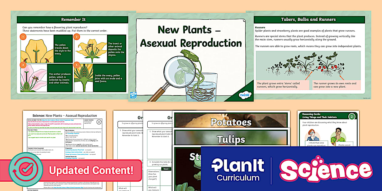 Sexual and Asexual Reproduction in Plants - PlanIt - Twinkl