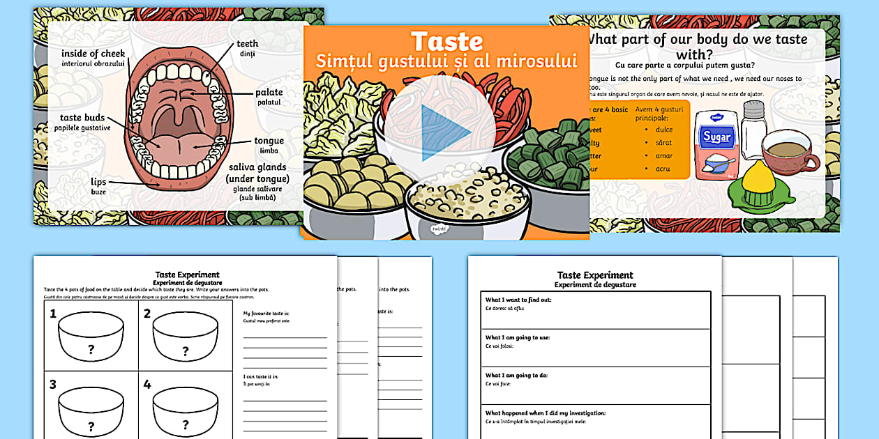 KS1 Science Senses Taste PowerPoint English/Romanian - KS1 Science Senses
