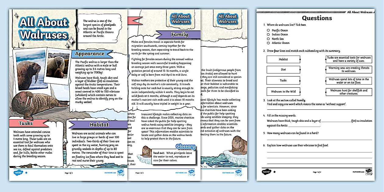 UKS2 All About Walruses Reading Comprehension Activity