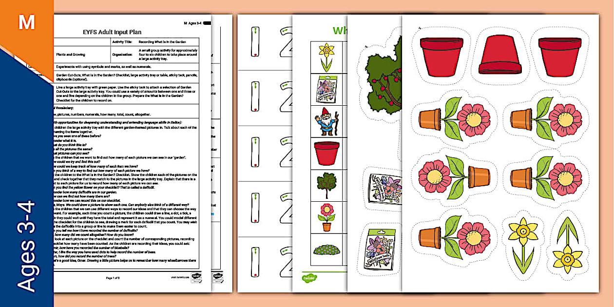 EYFS Recording What Is in the Garden Adult Input Plan