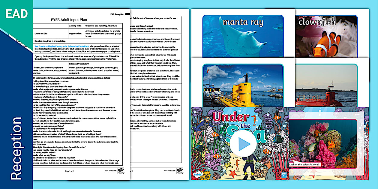 EYFS Under the Sea Role-Play Adult Input Plan Resource Pack