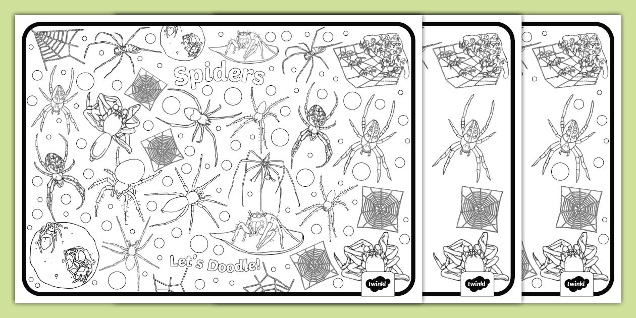 Spider Doodle Colouring Pages - Twinkl - KS1 (teacher made)
