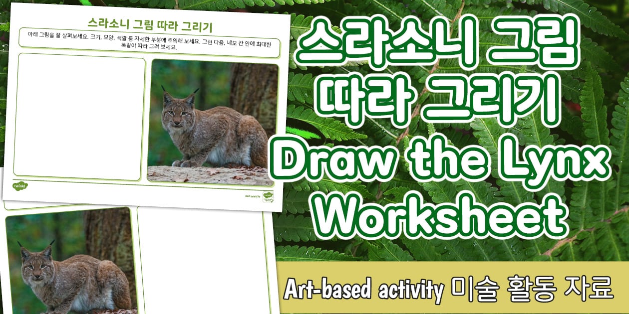 스라소니 그림 따라 그리기 | Draw the Lynx Worksheet