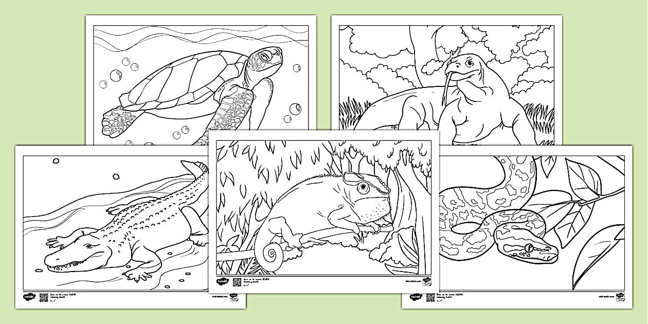 Reptile Colouring (Hecho por educadores) - Twinkl
