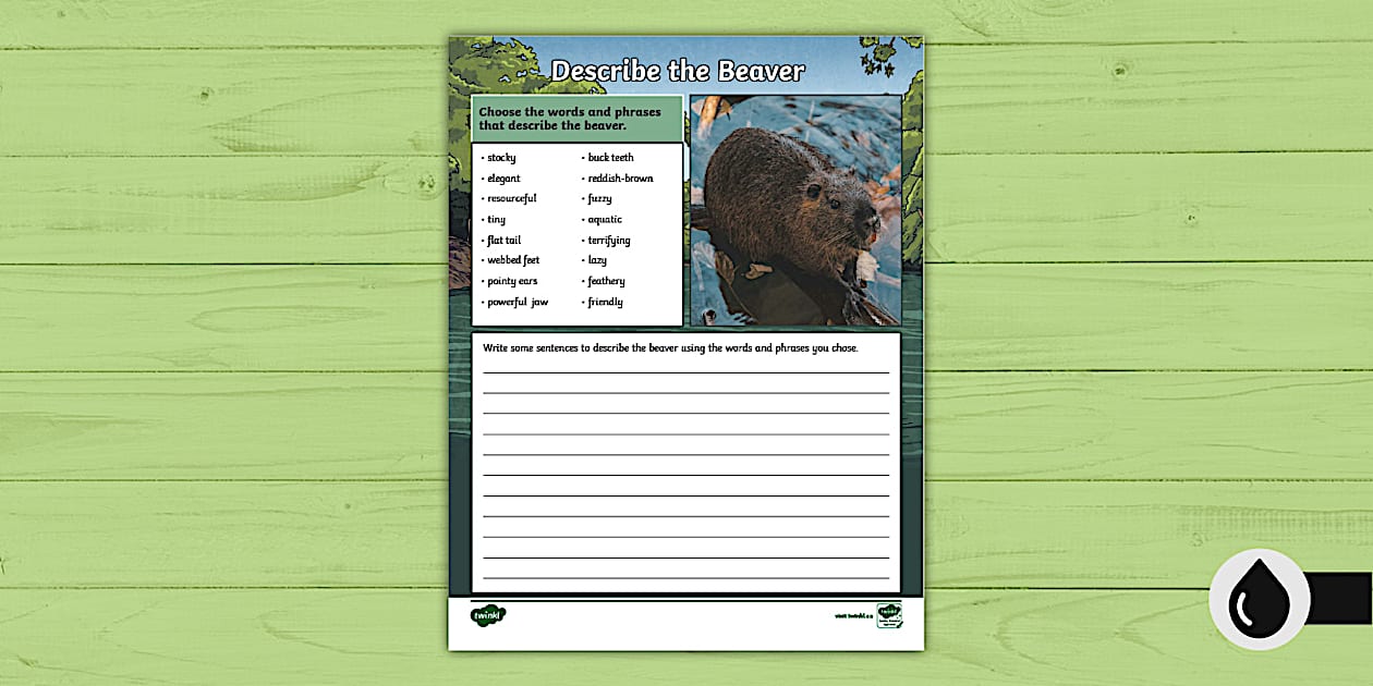 Describe the Beaver Writing Activity (teacher made) - Twinkl