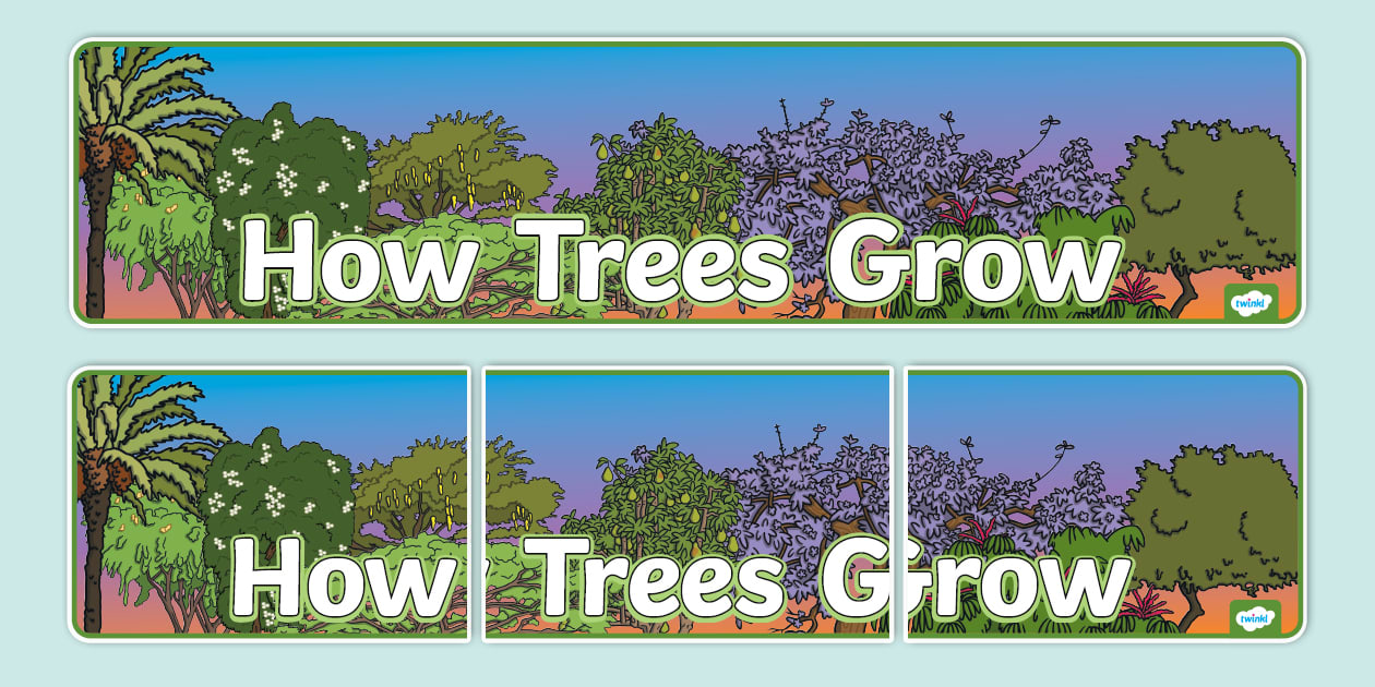 How Trees Grow Display Banner - Twinkl Display - Twinkl