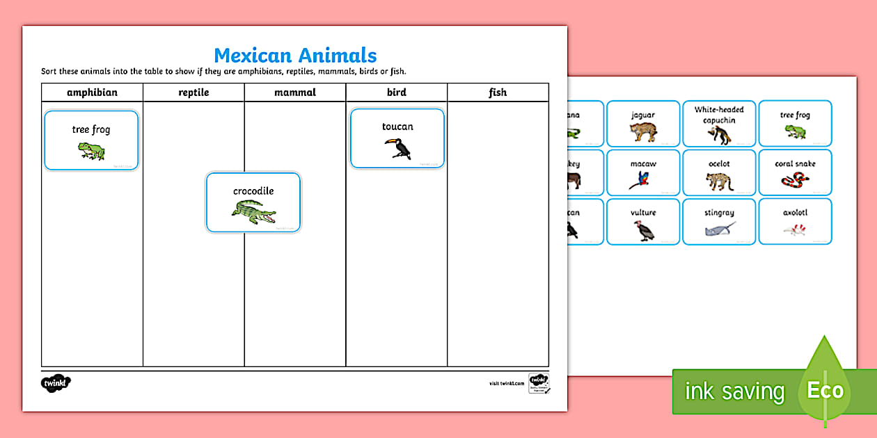 Mexican Animals Sorting Activity - Teaching Resources