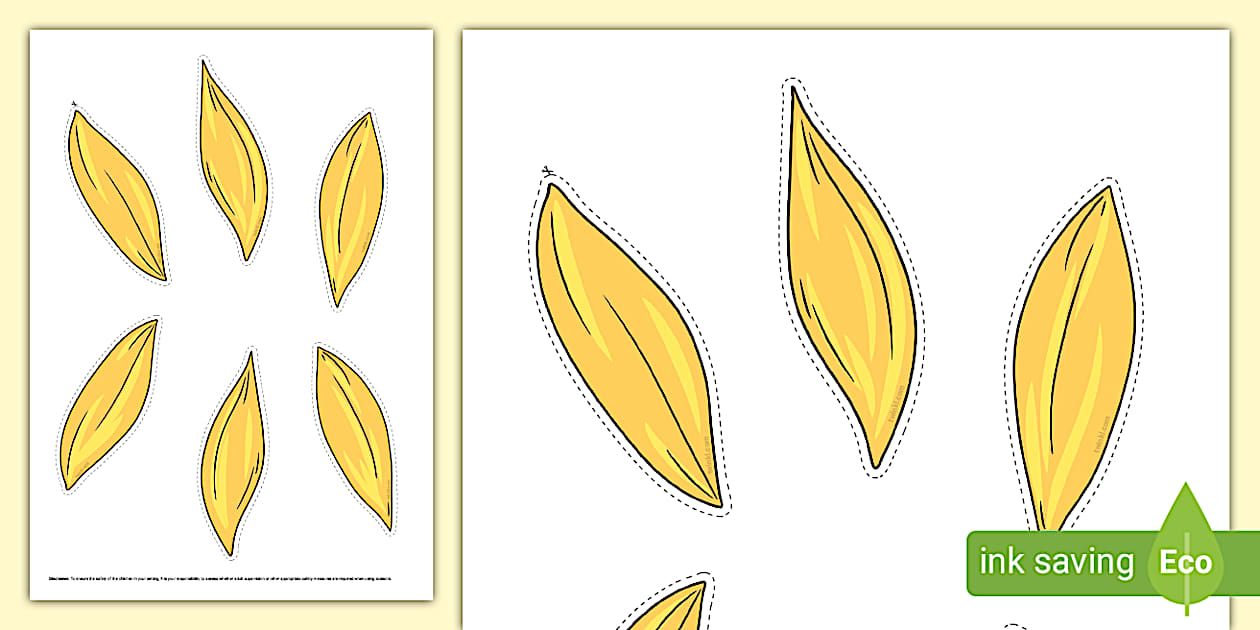 Sunflower Petals Display Cut-Outs (teacher made) - Twinkl
