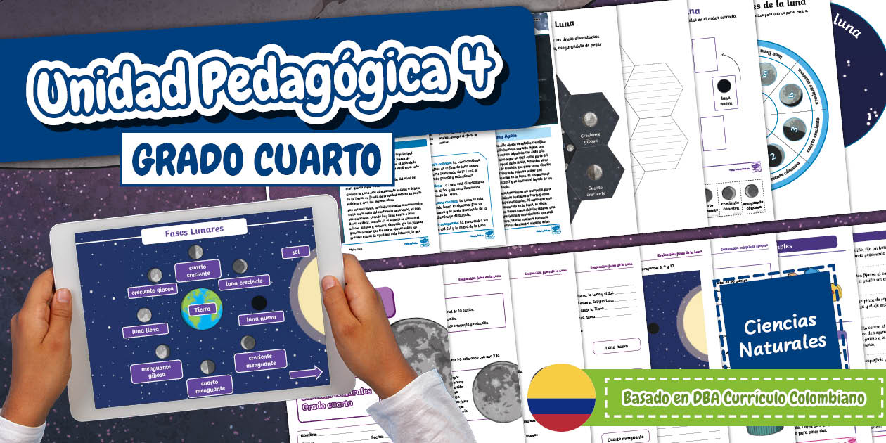 Recursos DBA 4 Cuarto de Primaria - Twinkl Colombia