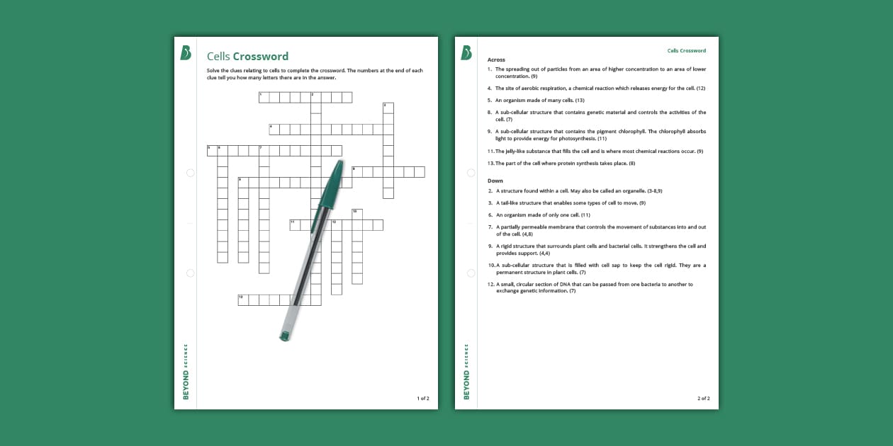 Cells Crossword Activity | KS3 Biology | Beyond Science