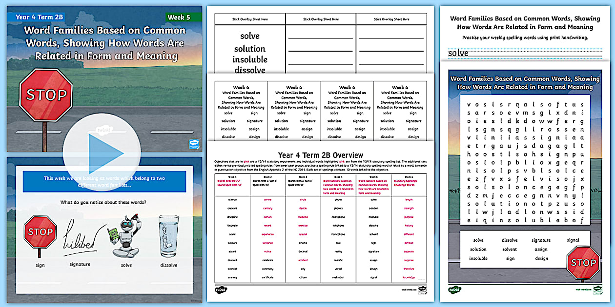 Year 4 Term 2B Week 5 Spelling Pack - Twinkl