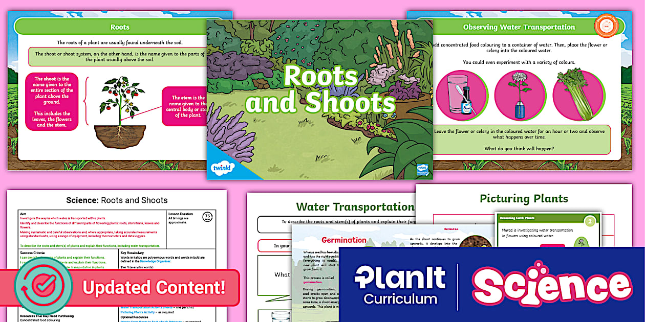 Y3 Plants: Roots and Shoots Lesson 2 (teacher made) - Twinkl