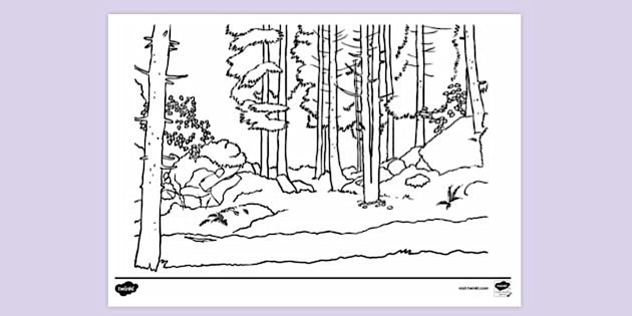 Forest Path Colouring Sheet | Colouring Sheets - Twinkl