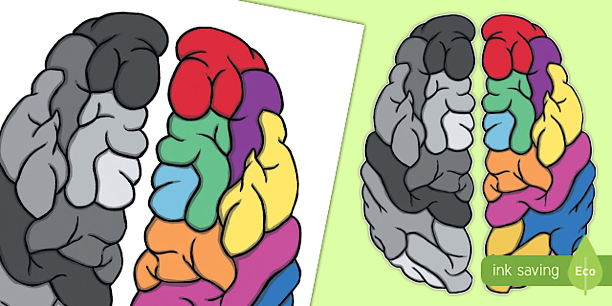 Large Display Growth Mindset Brain (teacher made) - Twinkl