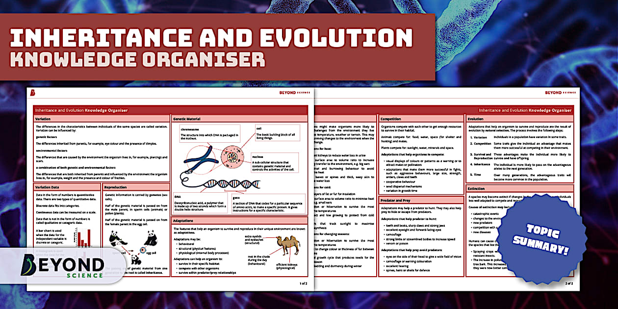 Inheritance and Evolution Knowledge Organiser | KS3 | Beyond
