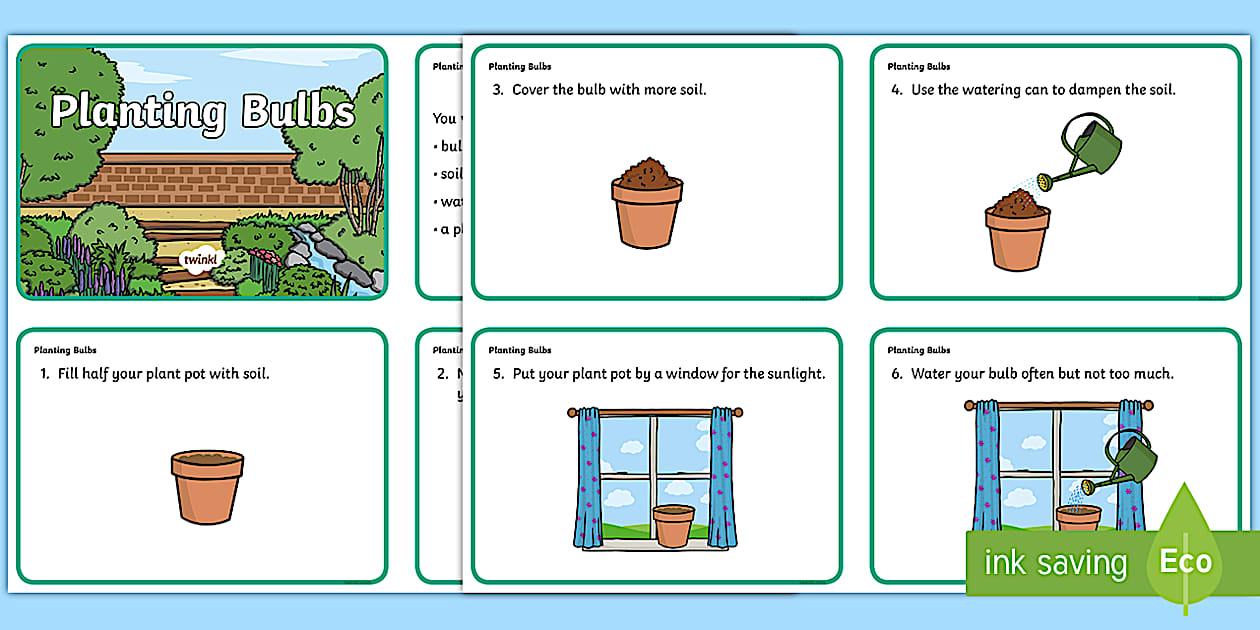 Editable Planting Bulbs Cards (teacher made) - Twinkl