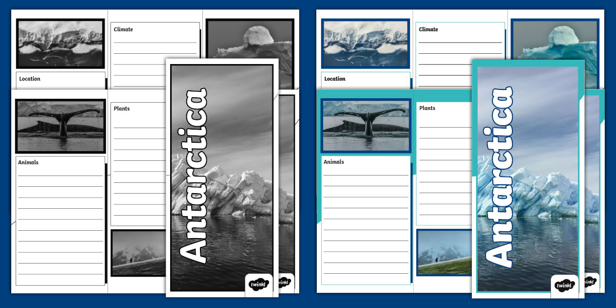 * NEW * KS2 Antarctica Leaflet Template - Twinkl