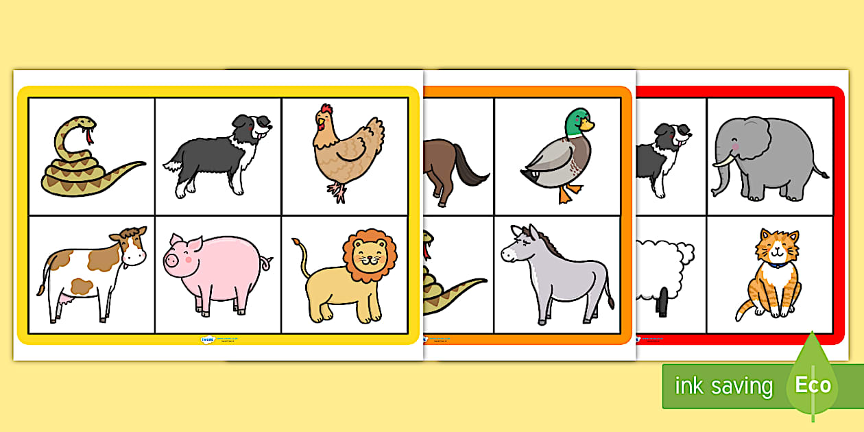 Animal Vocabulary Bingo - ESL Vocabulary Resources - Twinkl