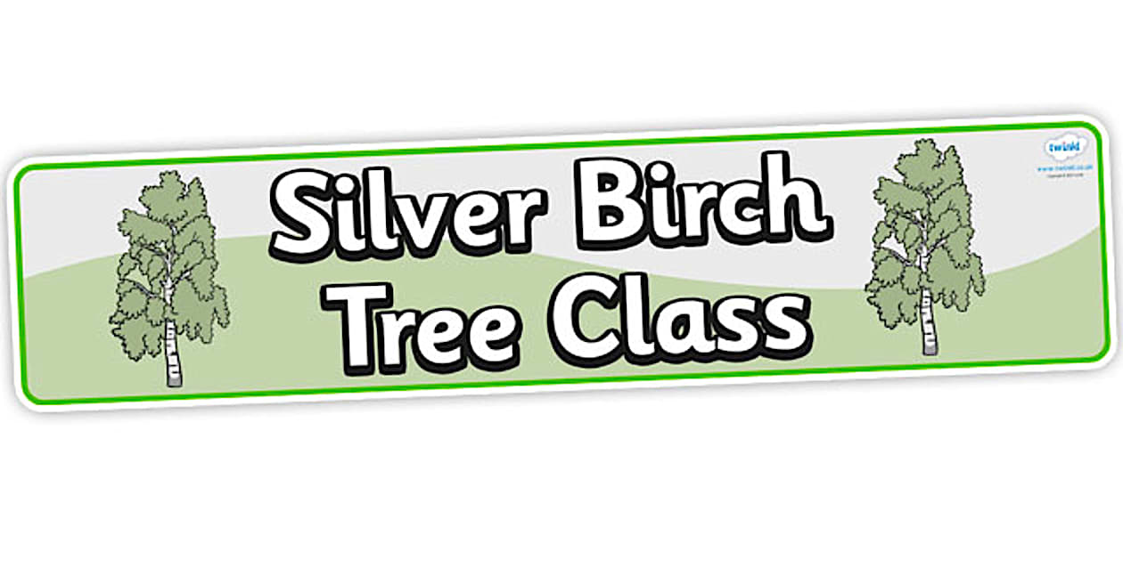 Birch Tree Themed Classroom Banner Silver Birch - Twinkl