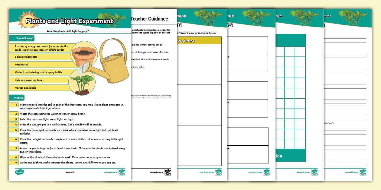 Plants and Light Experiment (Teacher-Made) - Twinkl