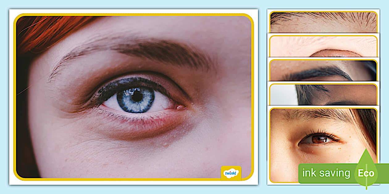 Eye Colours Photo Pack, Photos of Eyes, Differences - Twinkl