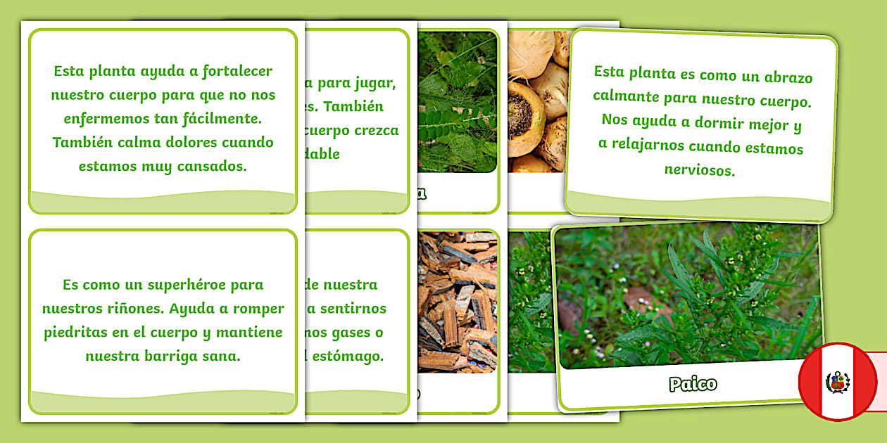 Tarjetas: Plantas medicinales y sus funciones (Perú)