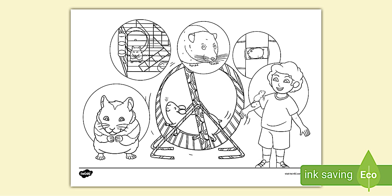 Hamster Colouring Page (teacher made) - Twinkl
