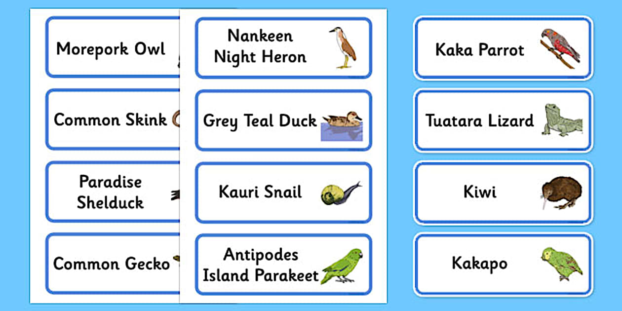 New Zealand Animals Word Cards