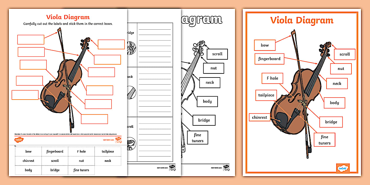 👉 Viola Diagram Pack (teacher made) - Twinkl